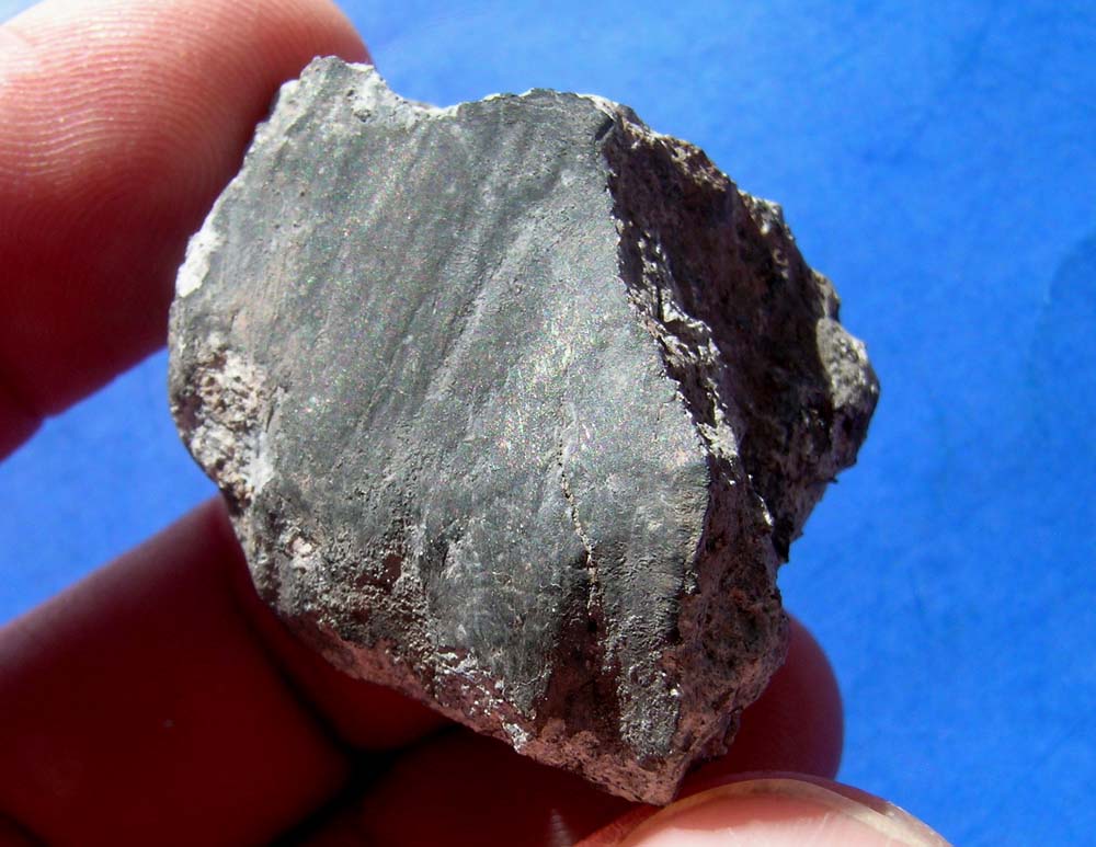 Meteorites for Sale Michael